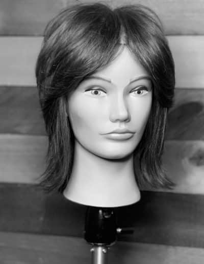 Shag, Bixie, Shullet Tutorial Bundle - Amplify the Stylist